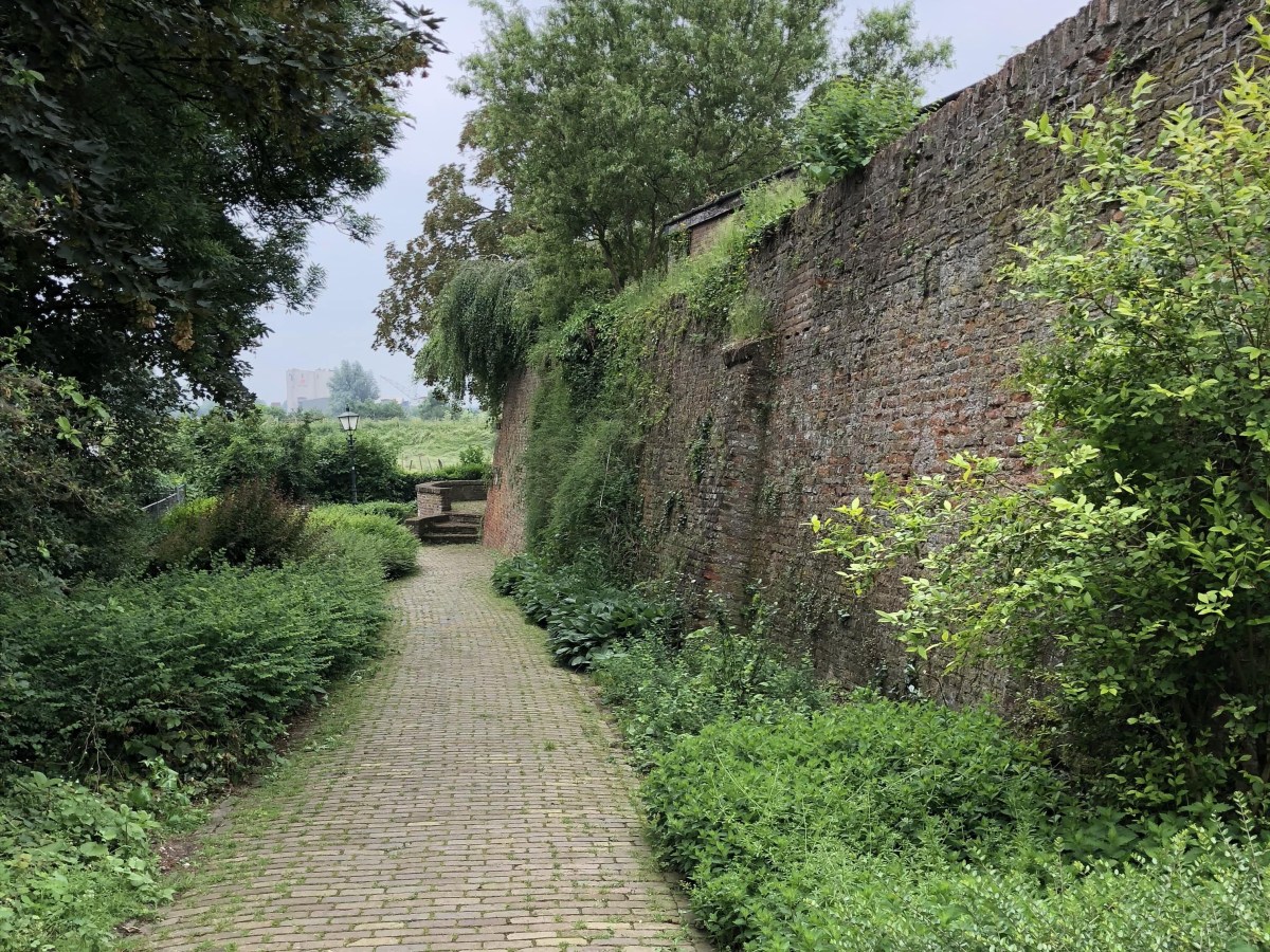 Attracties en bezienswaardigheden in Rhenen – VisitRhenen
