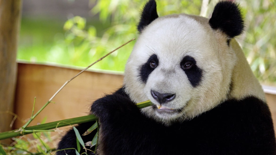 Attracties en bezienswaardigheden in Rhenen – VisitRhenen