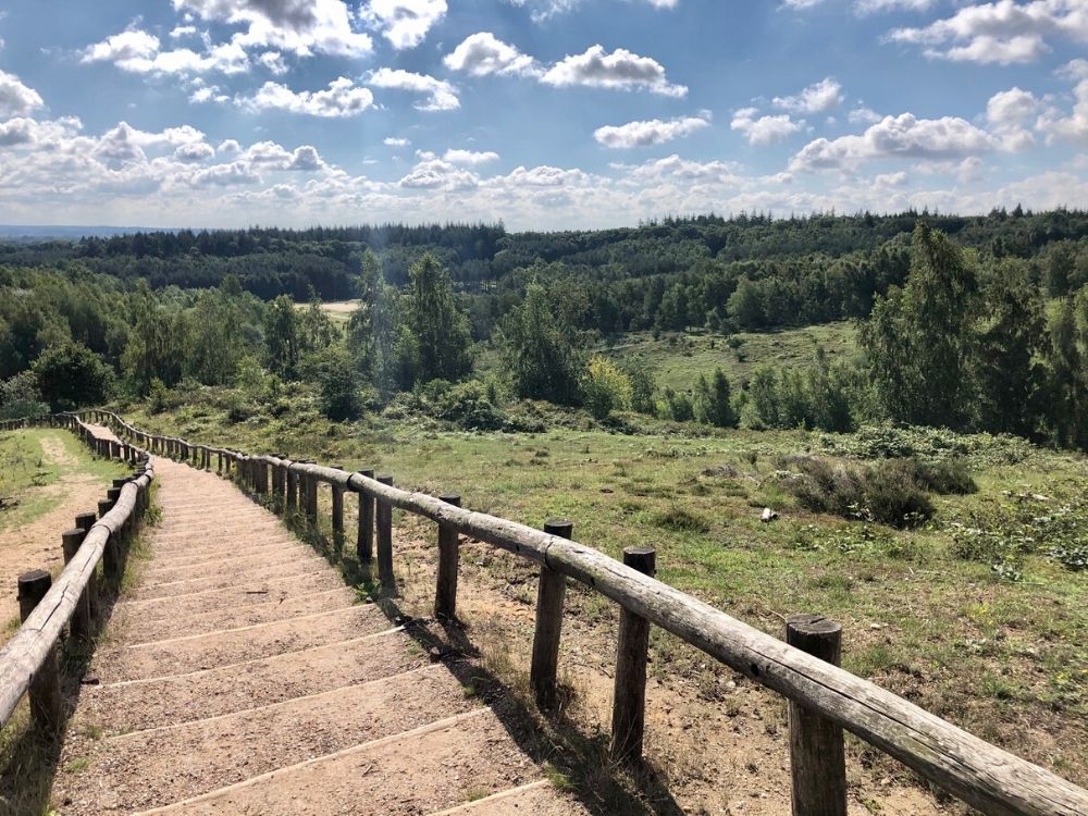 Rhenen in the Netherlands: all you need to know – VisitRhenen