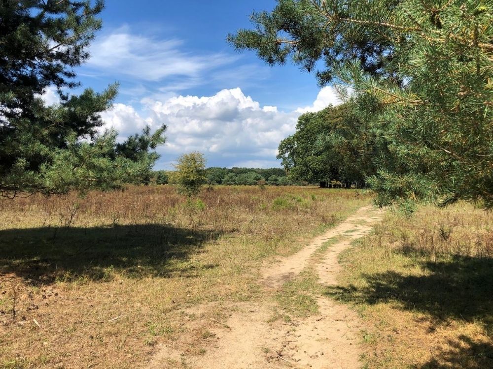 Wandelroutes in Rhenen – VisitRhenen