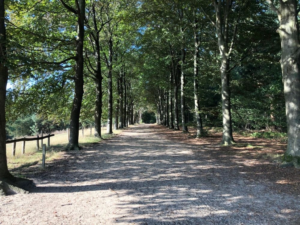 Wandelroutes in Rhenen – VisitRhenen