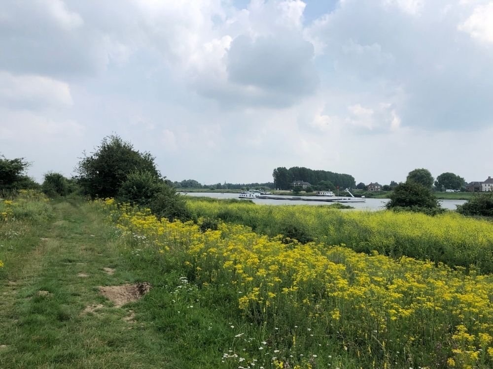 Blauwe Kamer – VisitRhenen